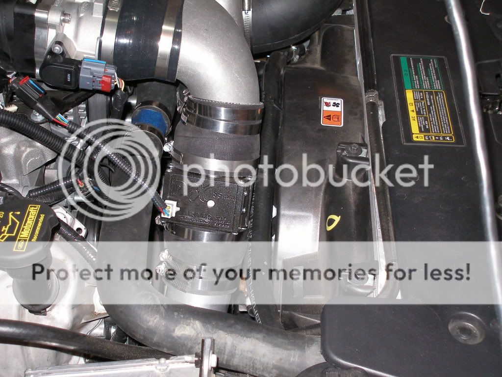 My 3V Build | S197 Mustang Forum - S197Forum.com